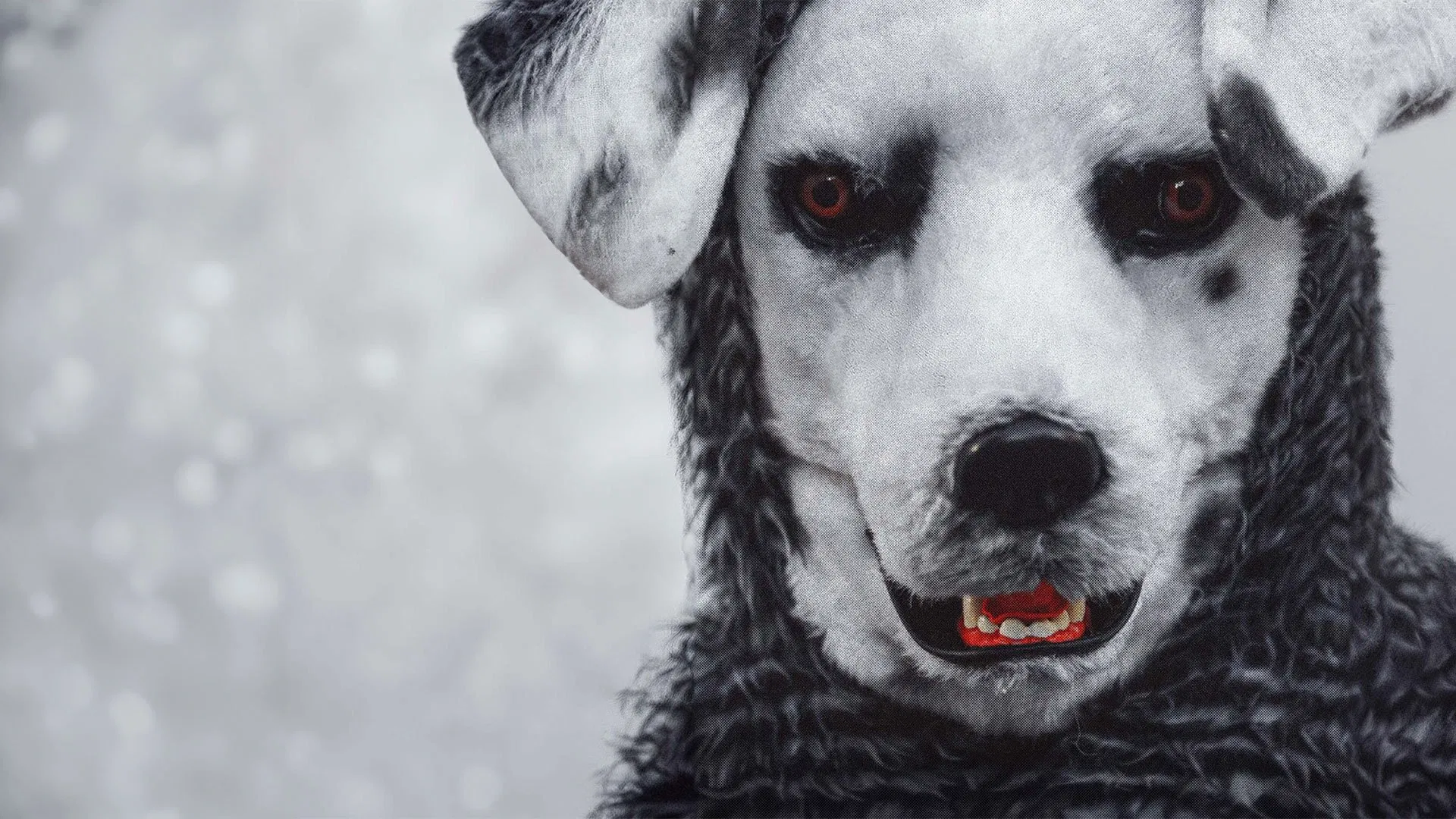 Tamil Dubbed Movie: Good Boy Online Watch for Free - TamilYogi